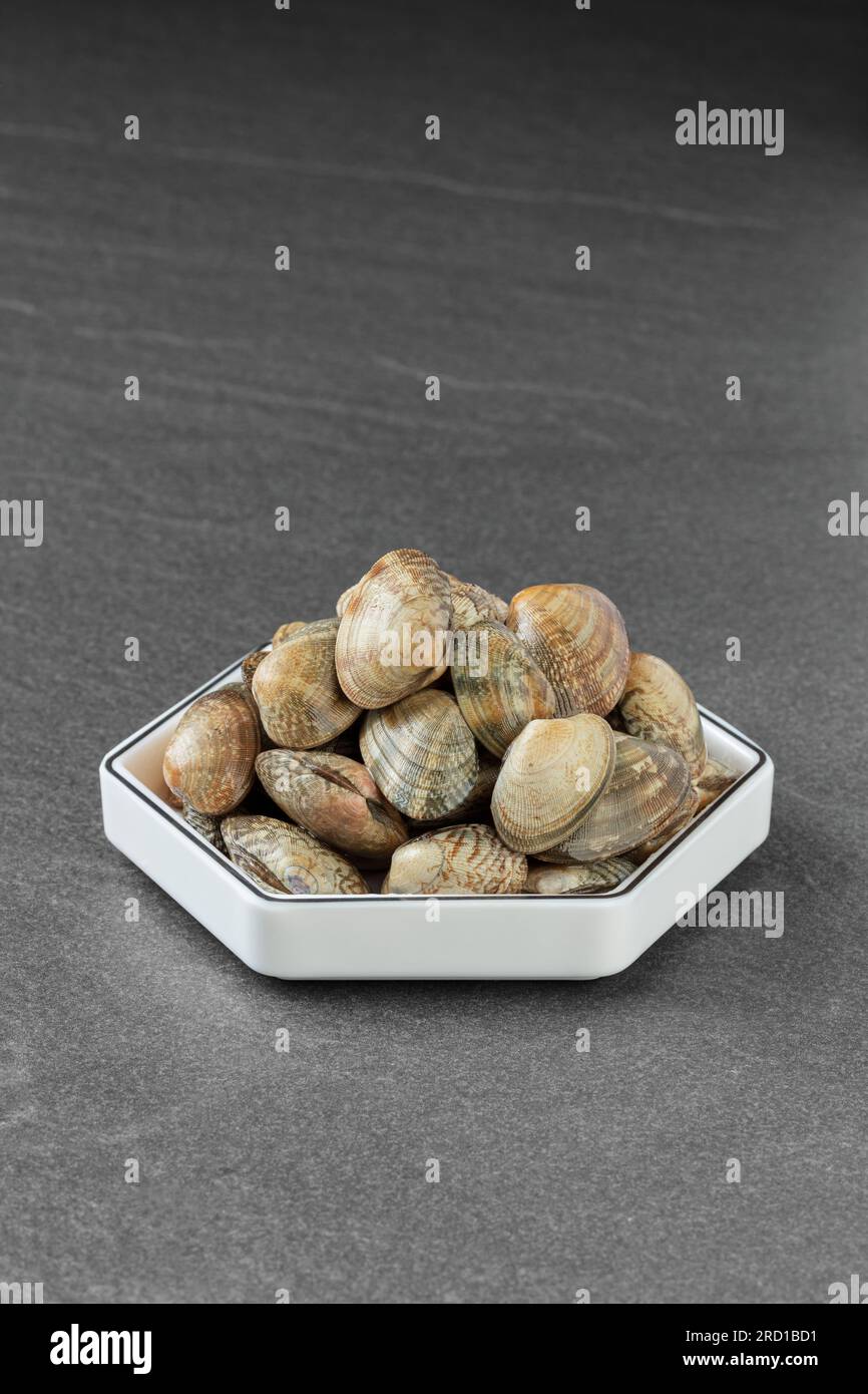 fresh clams (Surf , Short necked , Carpet , Venus shell, Baby clam) for ...