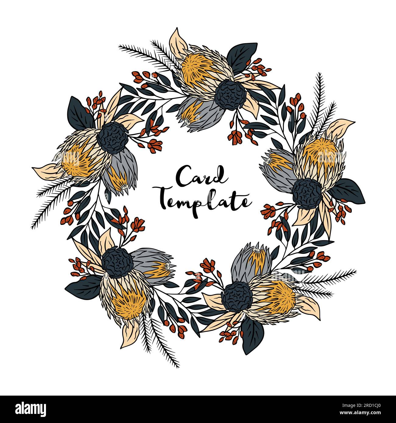 Hand drawn colorful line art tropical protea flower round frame Stock ...