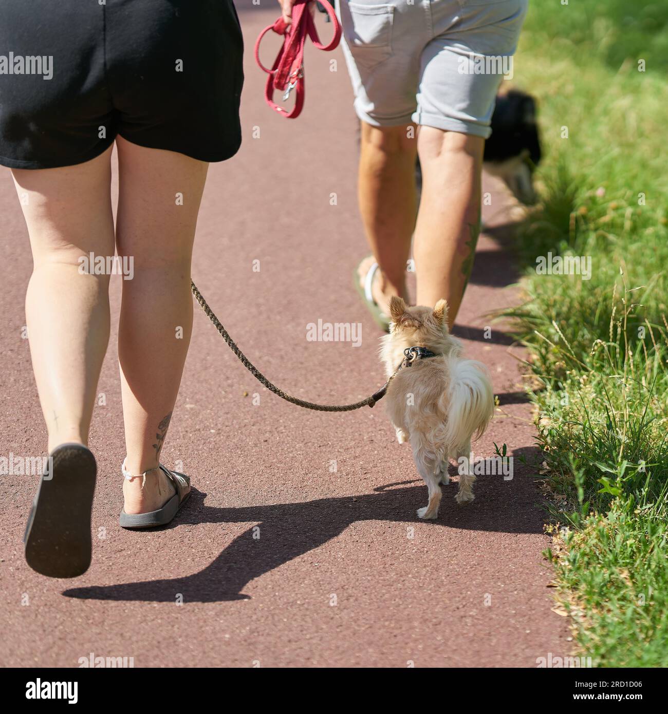 Relaxed walk hi-res stock photography and images - Alamy