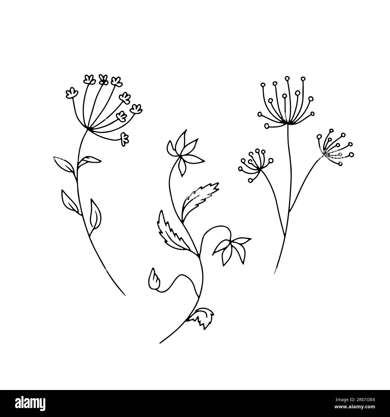 Hand drawn wild flowers illustrations set isolated on white background ...
