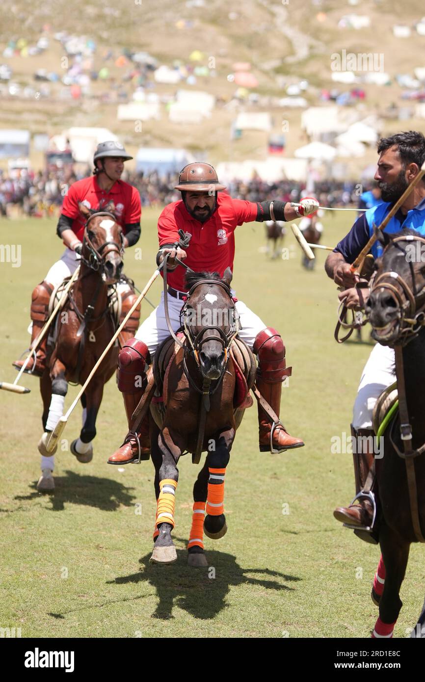 How Many Horses Do Polo Players Use at James Loch blog