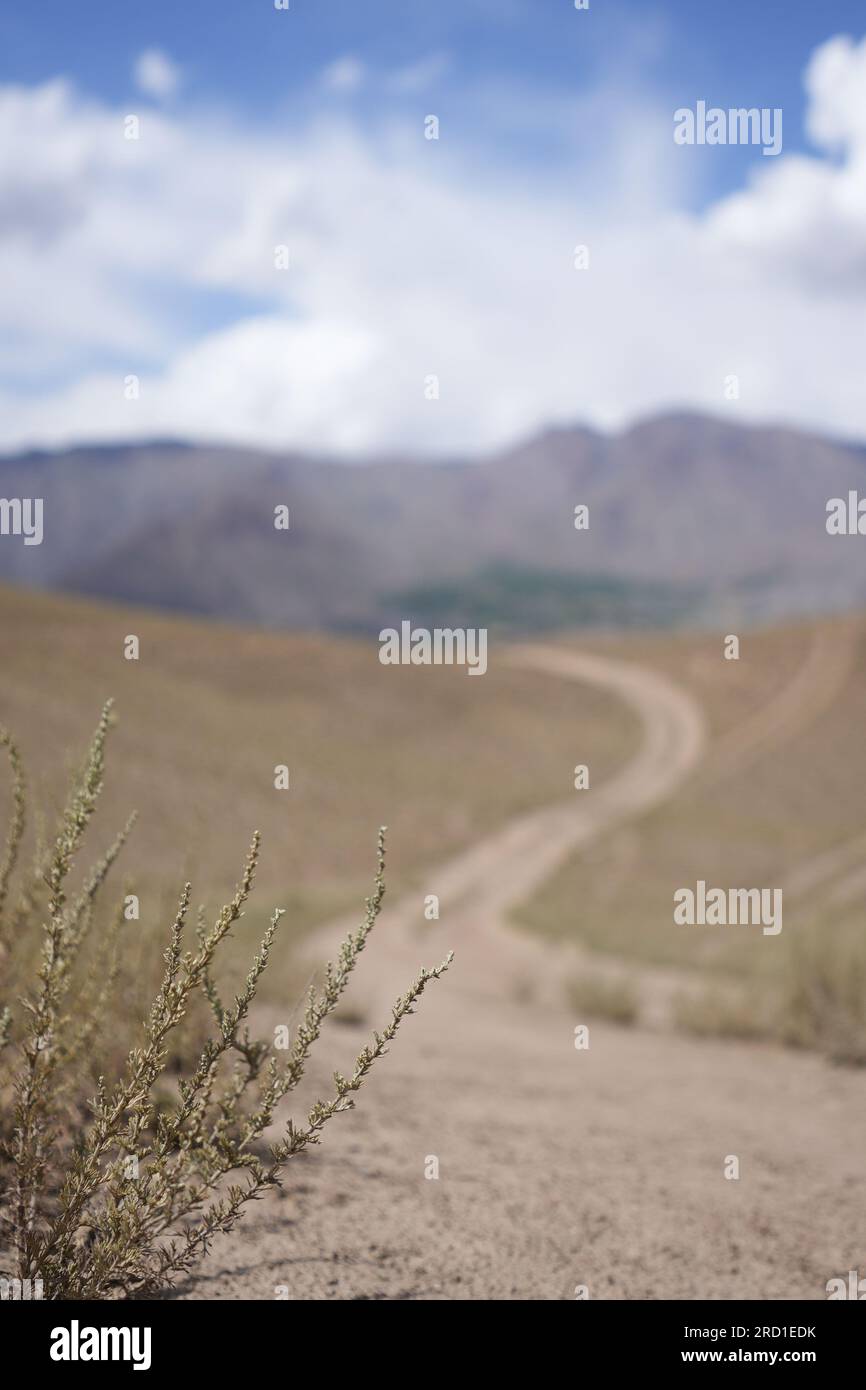 The cloudy blue sky overlooking dusty path towards the mountains Stock ...