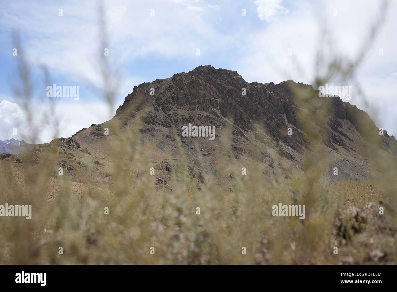 Wild Shrubs infront of the Barren Mountains and Clear Blue Skies Stock ...