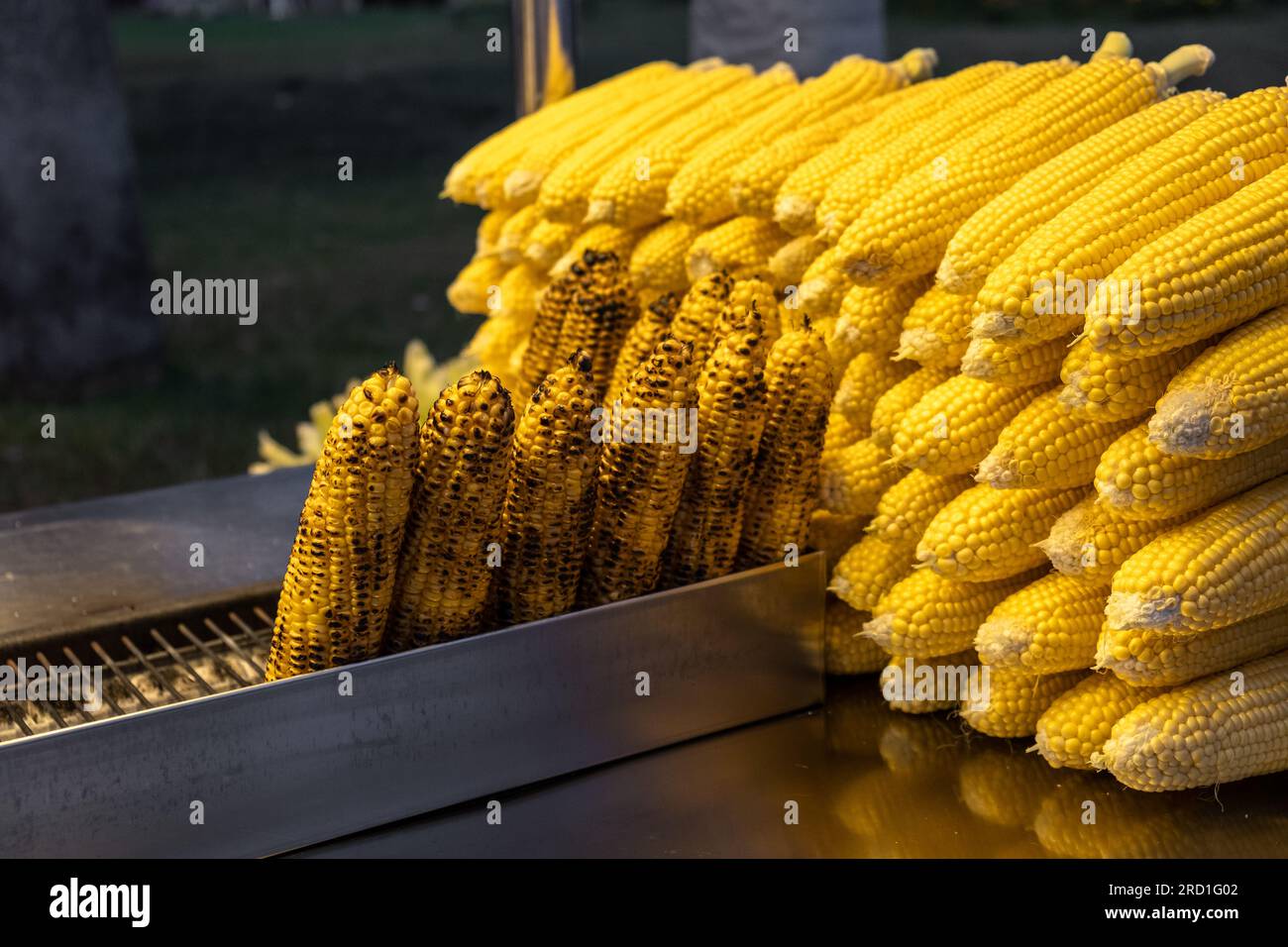 A street vendor roasts corn on a charcoal grill in Istanbul Stock Photo ...