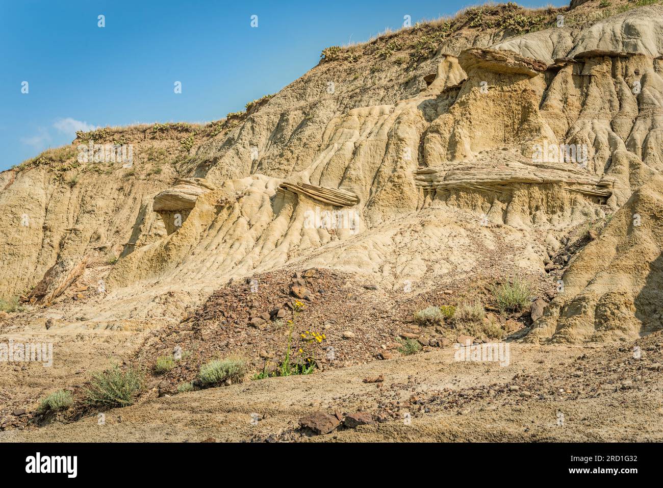 Unique rock formations and hoodoos shaped by erosion in the Avonlea ...