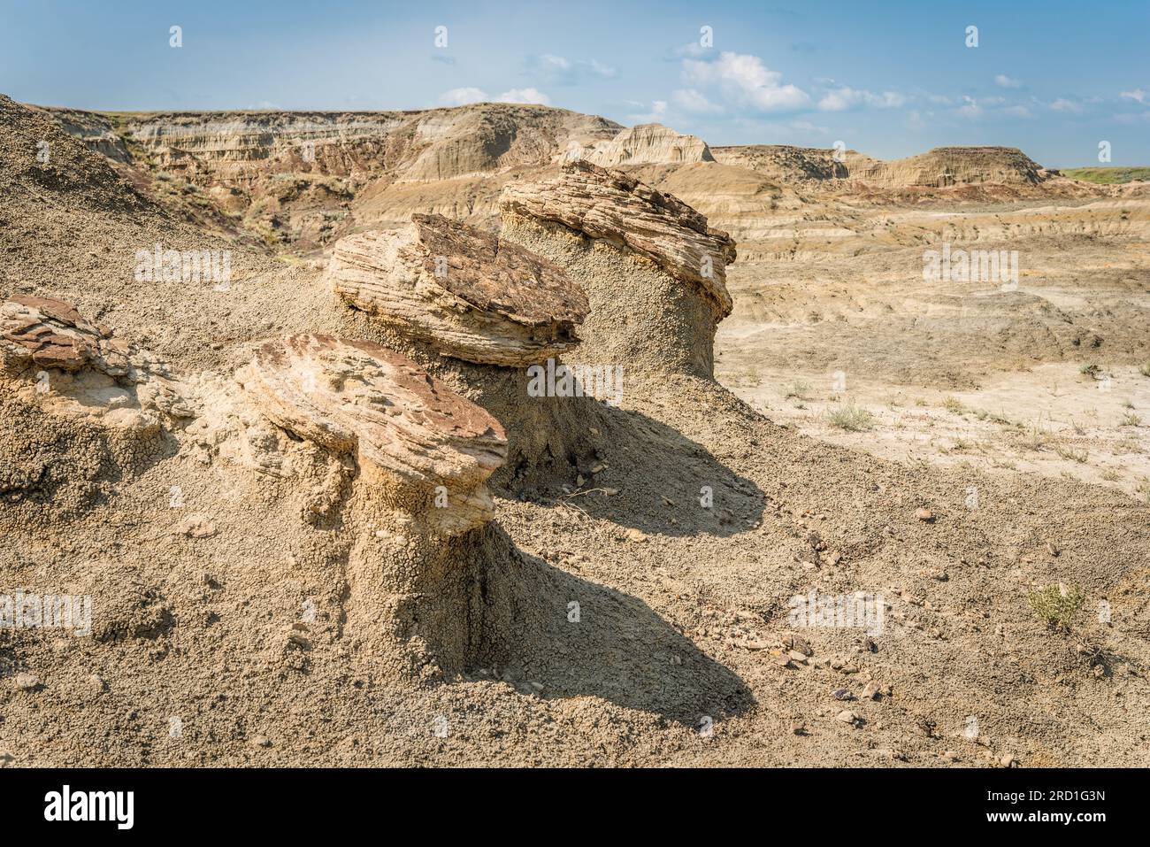 Unique rock formations and hoodoos shaped by erosion in the Avonlea ...