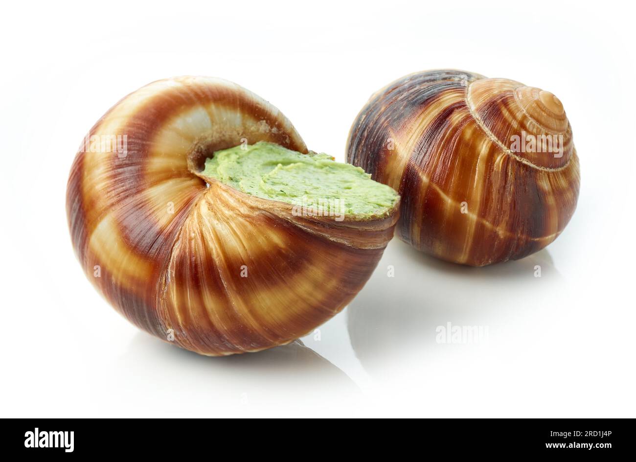 escargot snail filled with garlic and parsley butter isolated on white ...