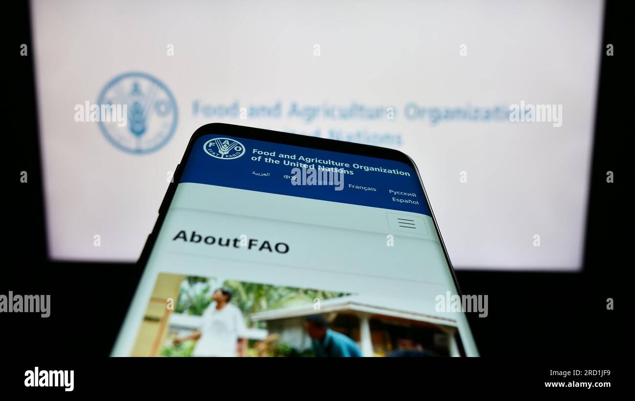 Mobile phone with webpage of UN agency Food and Agriculture ...