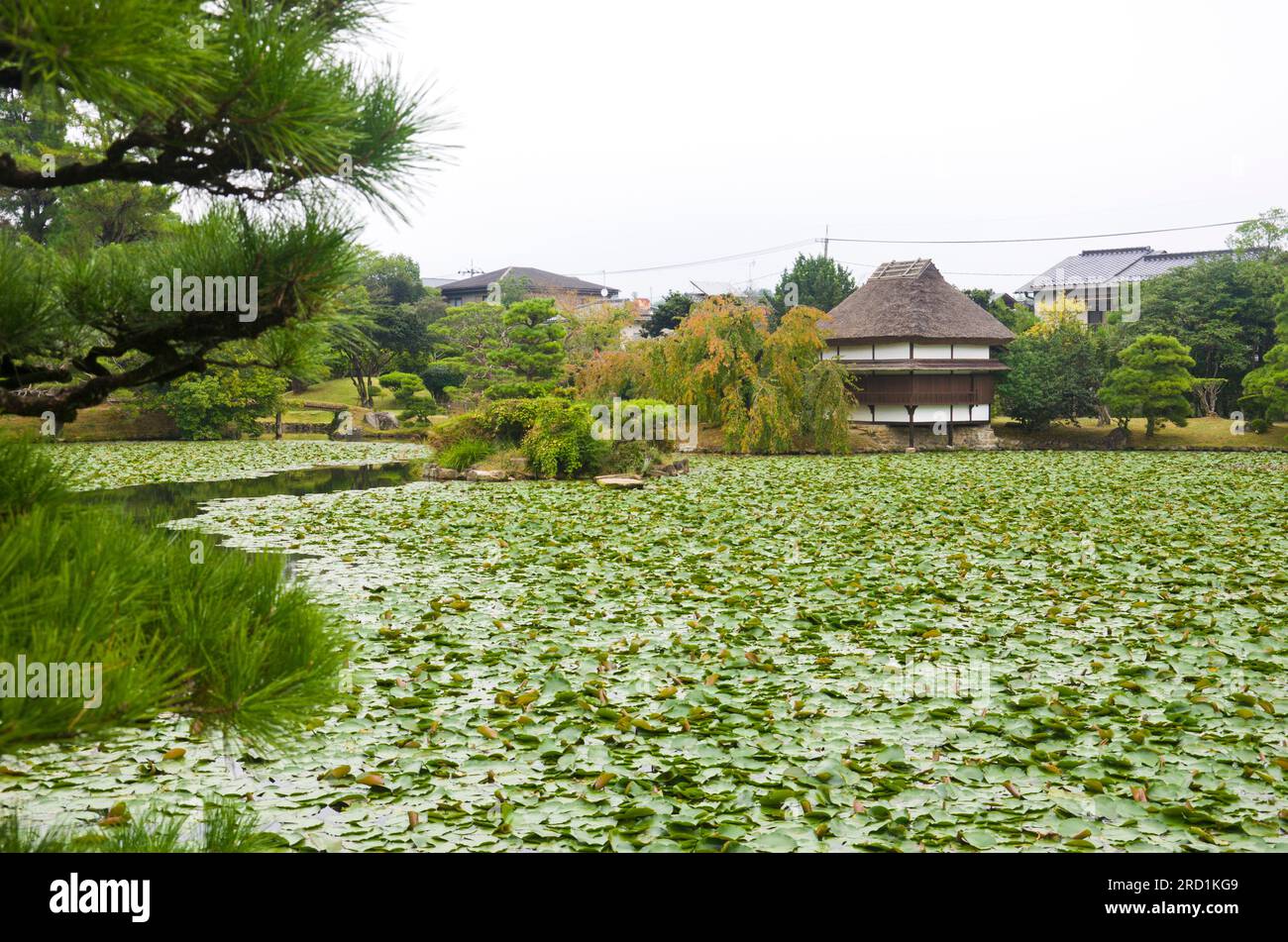 Shurakuen garden in Tsuyama town, Okayama prefecture, Chugoku, Japan ...