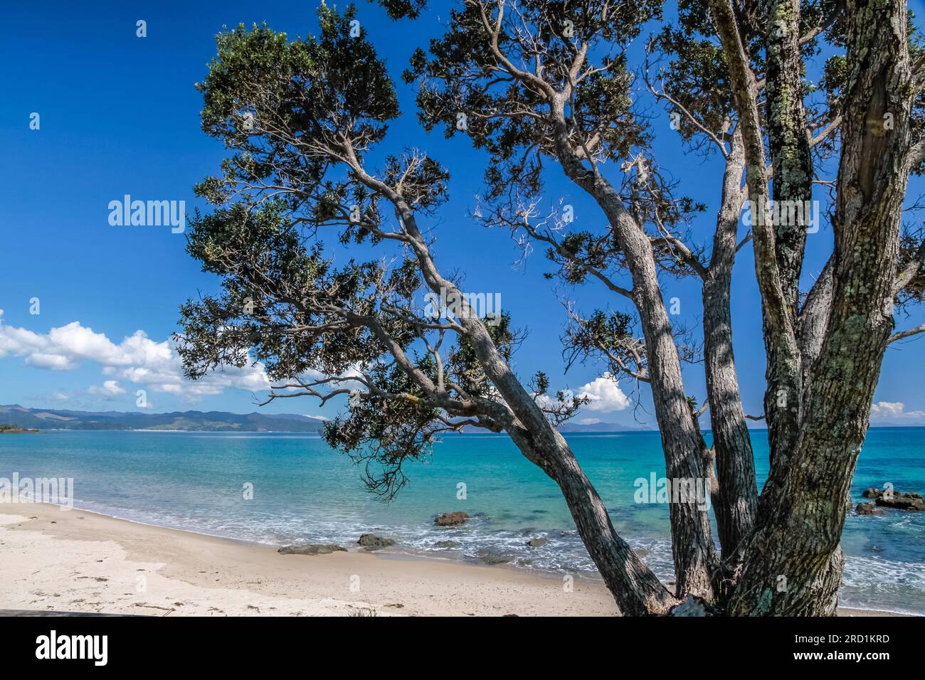 Lonely bay hi-res stock photography and images - Alamy