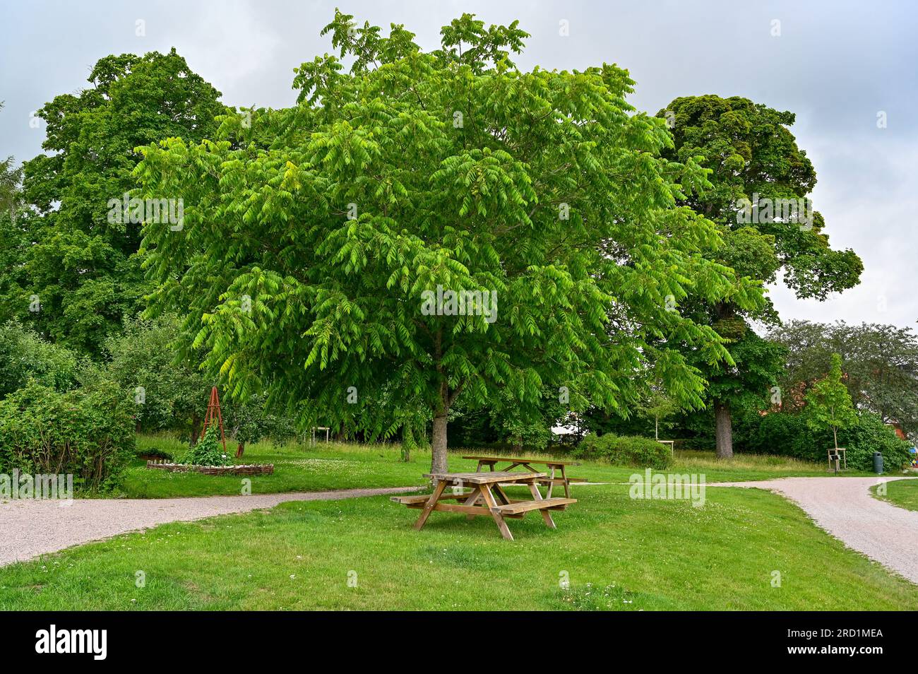 Resting area with tables and benches on lawn Stock Photo - Alamy
