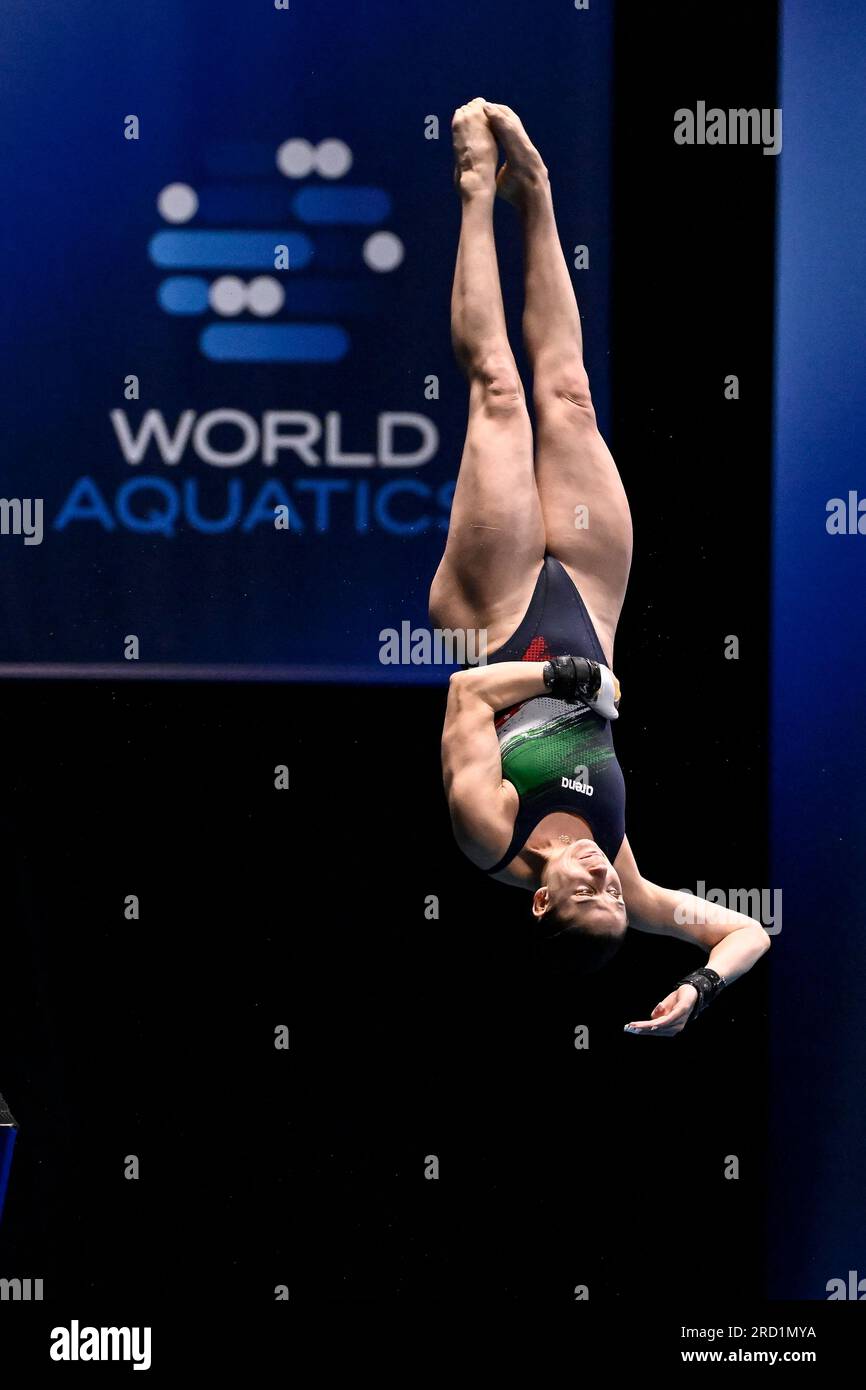 Sarah jodoin hi-res stock photography and images - Alamy