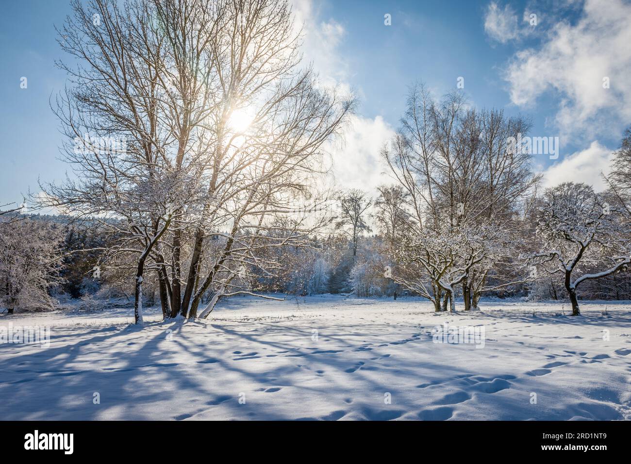 geography / travel, Germany, Hesse, Niedernhausen, ADDITIONAL-RIGHTS ...