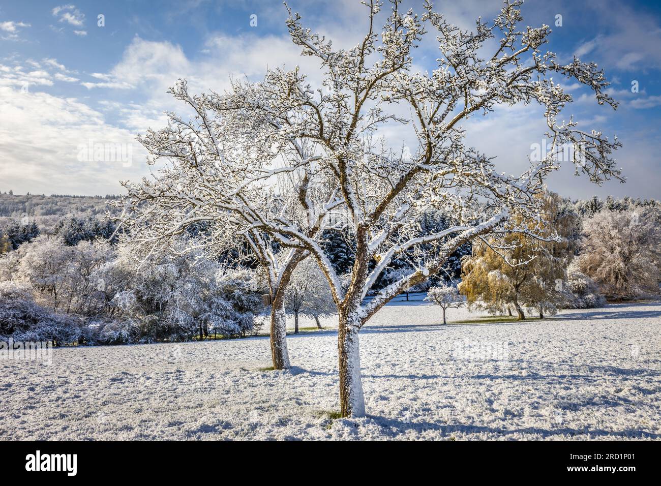 Areas geography hi-res stock photography and images - Alamy