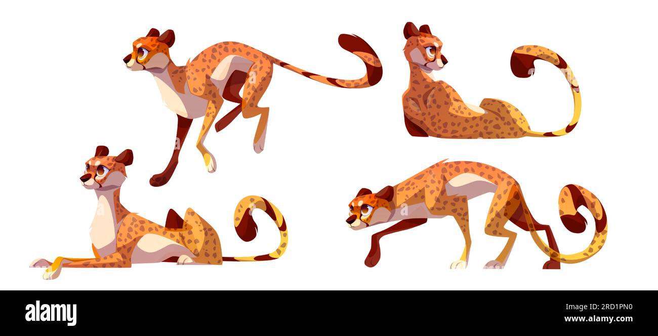 Cartoon set of cheetah character in different poses isolated on white ...