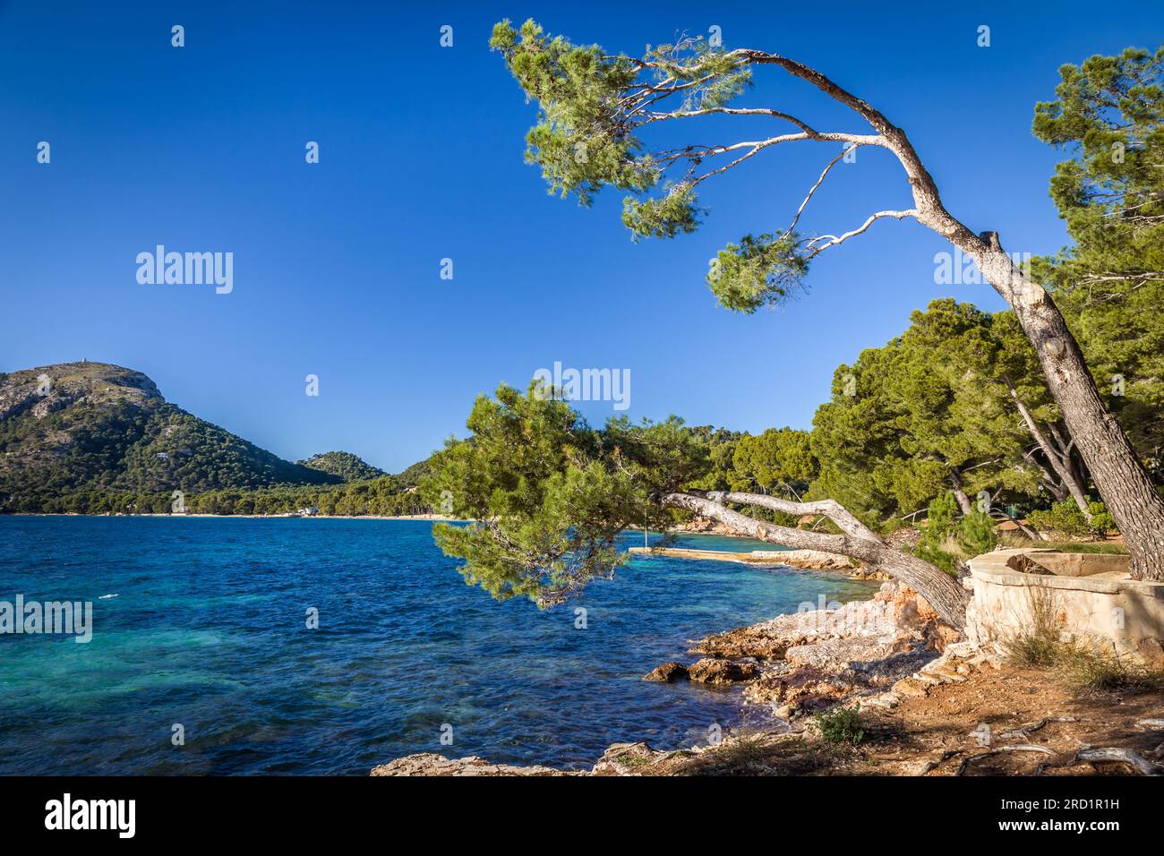 geography / travel, Spain, Majorca, harbour de Pollenca, beach Platja ...