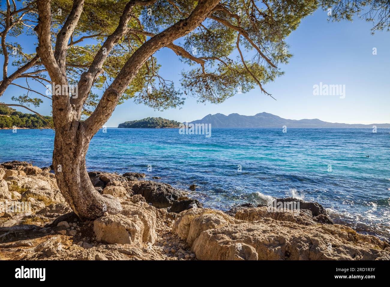 geography / travel, Spain, Majorca, harbour de Pollenca, beach Platja ...