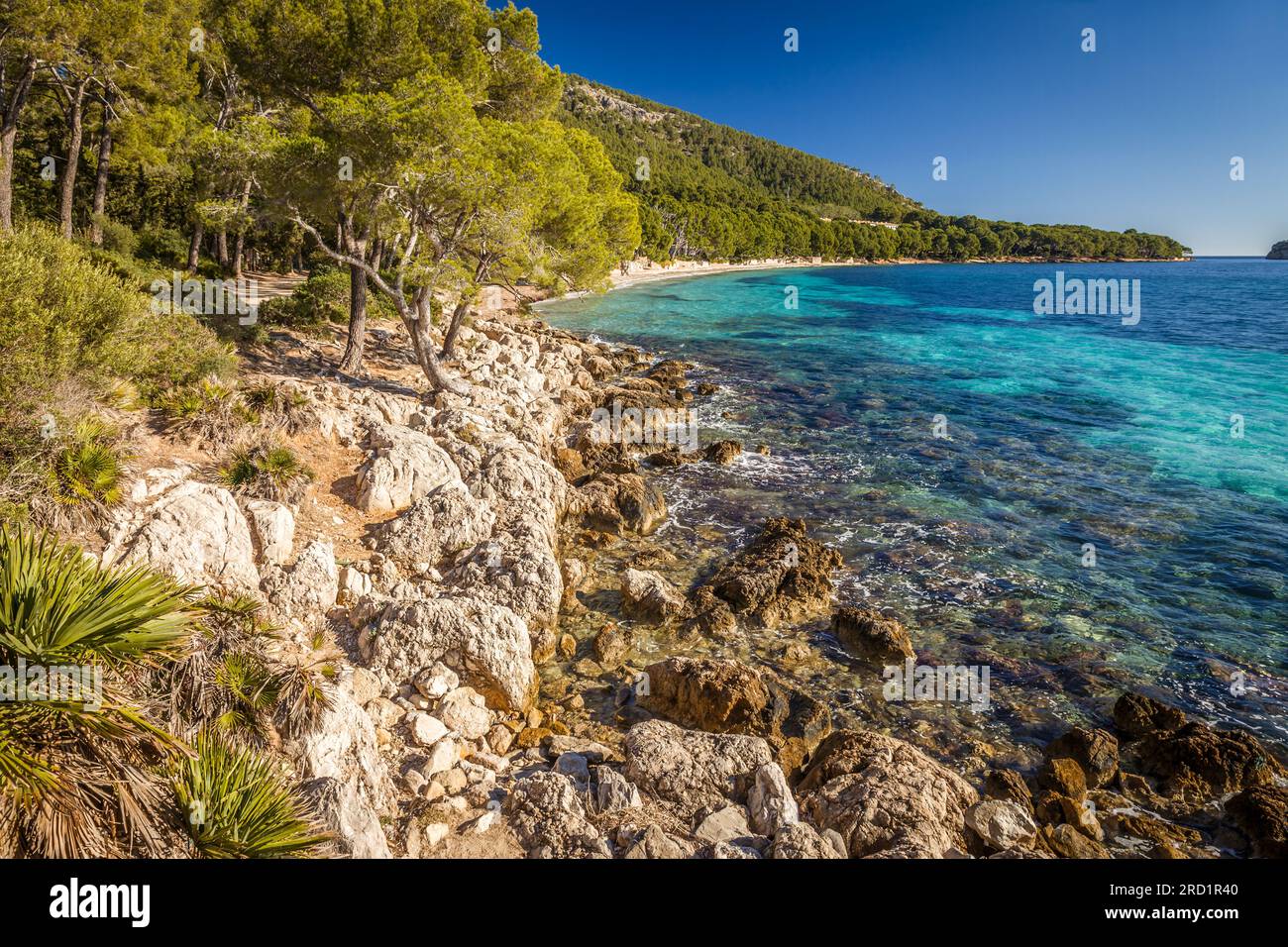 Platja formentor hi-res stock photography and images - Alamy