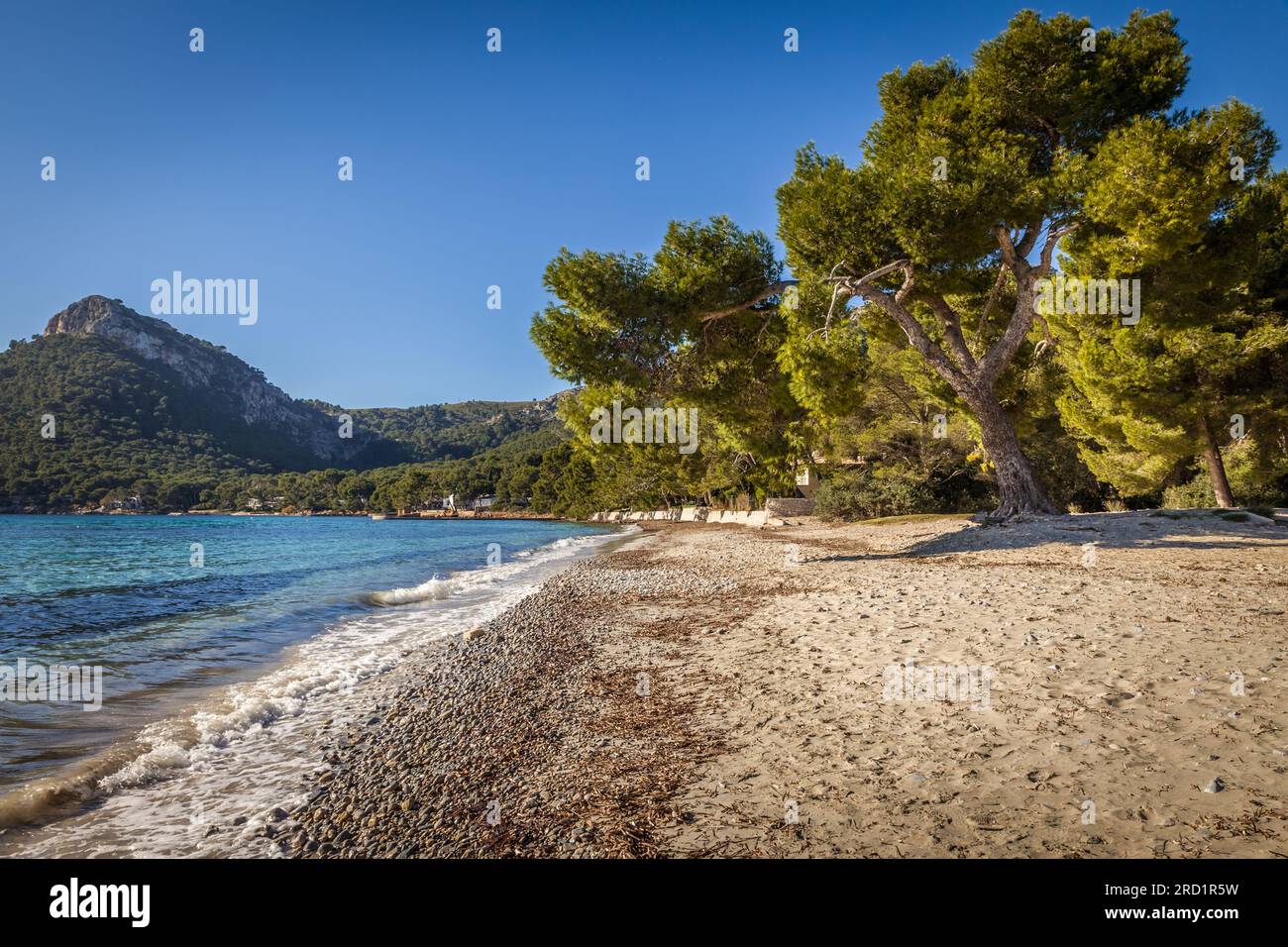 geography / travel, Spain, Majorca, harbour de Pollenca, beach Platja ...