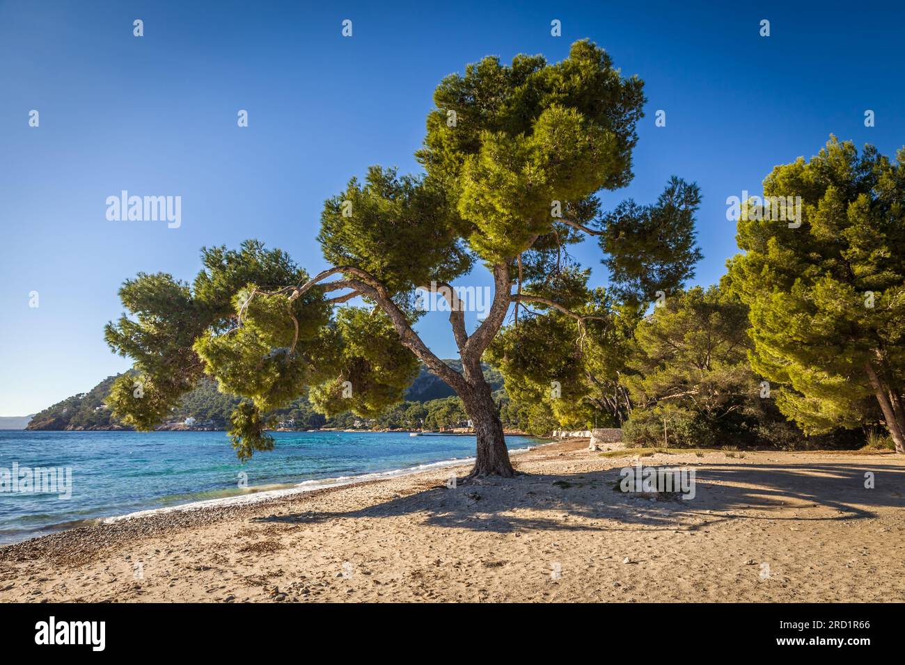 geography / travel, Spain, Majorca, harbour de Pollenca, beach Platja ...