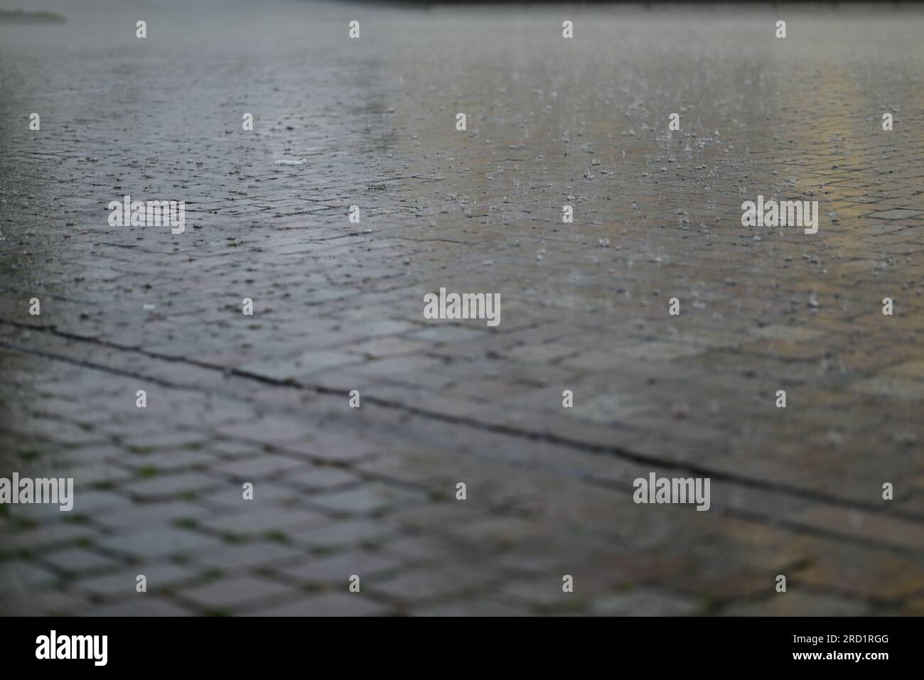 Rain on pavement as a close up Stock Photo - Alamy