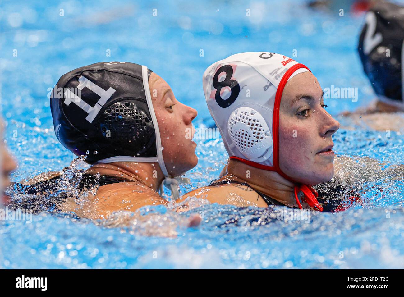 Elyse lemay lavoie hi-res stock photography and images - Alamy