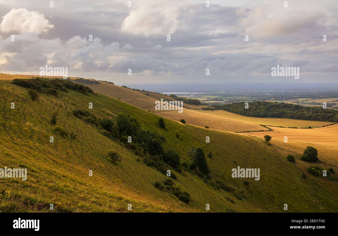 The escarpment of Folkington hill on the south downs east Sussex south ...