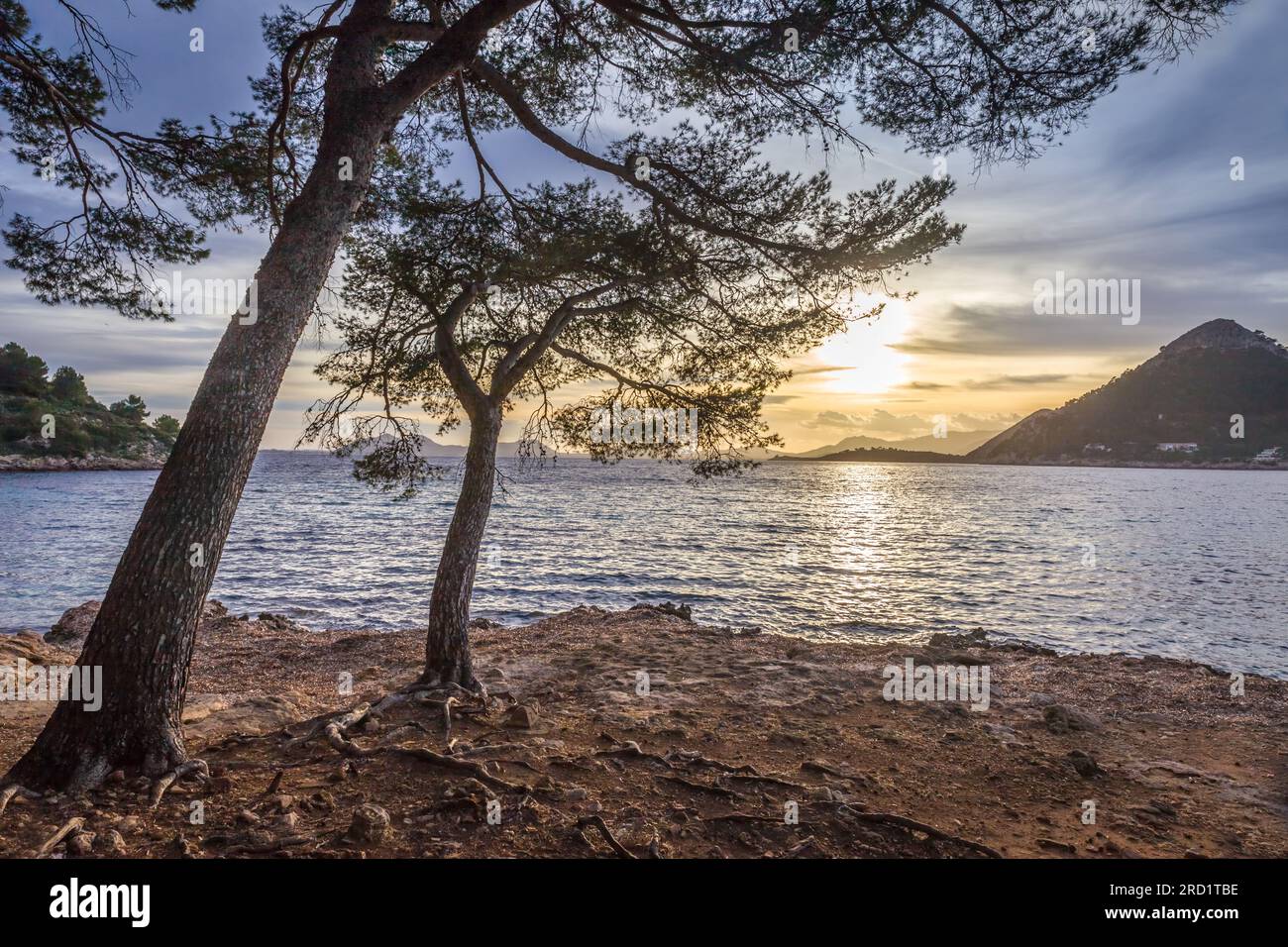 geography / travel, Spain, Majorca, harbour de Pollenca, beach Platja ...