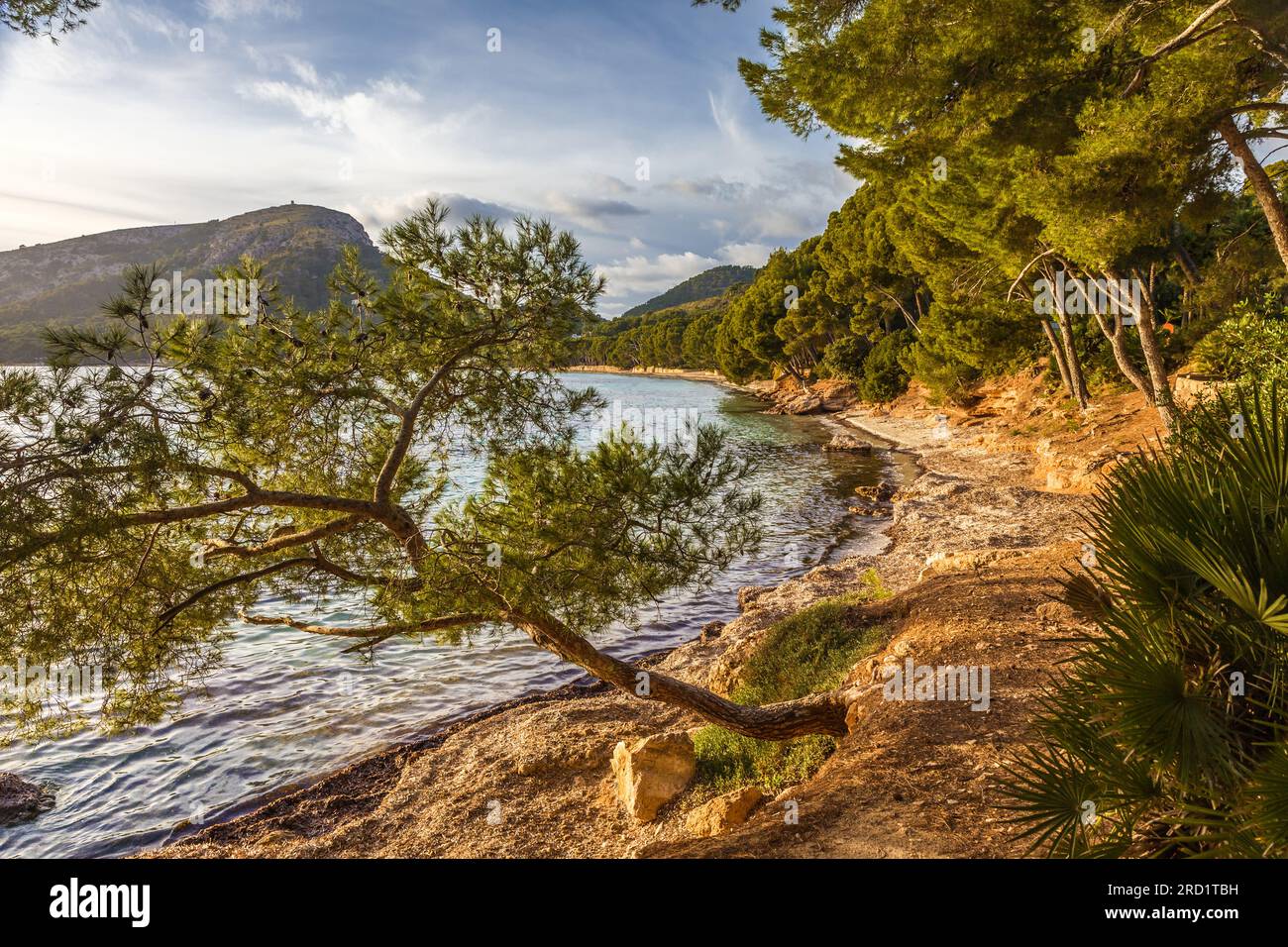 geography / travel, Spain, Majorca, harbour de Pollenca, beach Platja ...