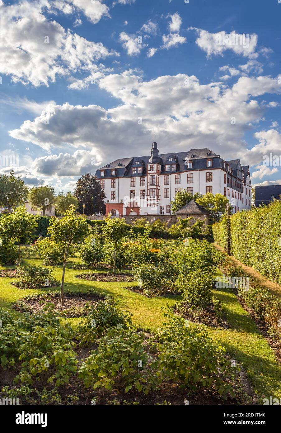 geography / travel, Germany, Hesse, Idstein, rose garden in front of ...