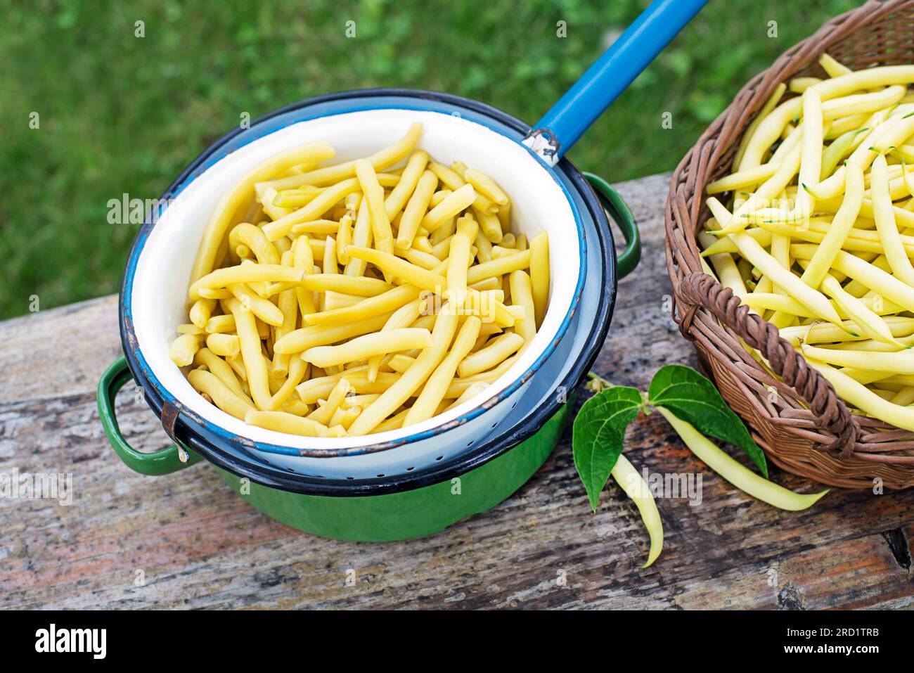 Freshly plucked and cooked yellow string beans. Ingredient for cooking ...
