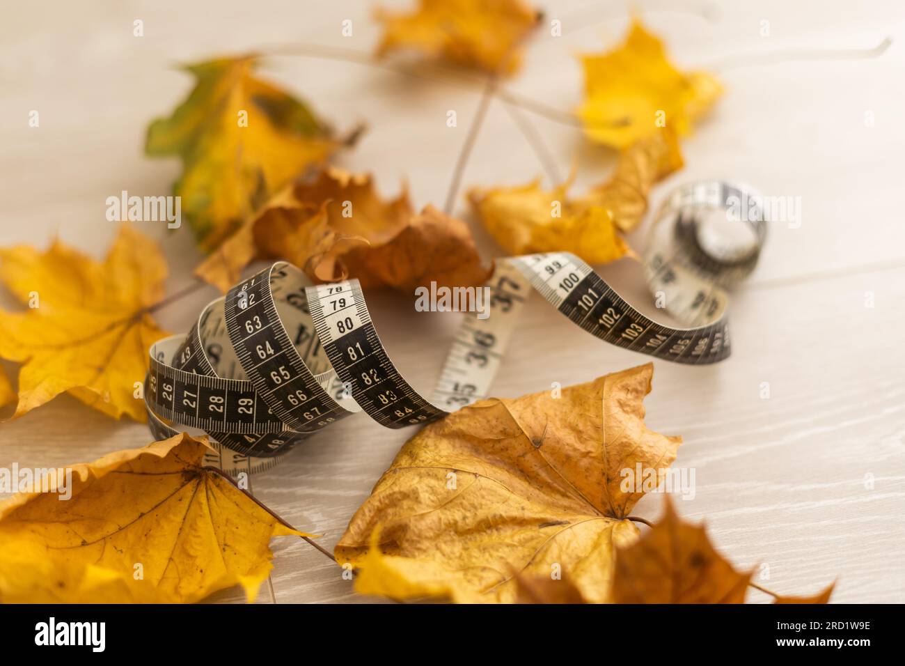 Tailors measuring meter on hi-res stock photography and images - Alamy