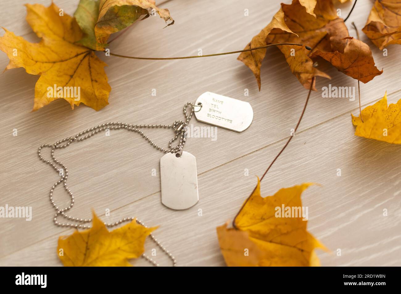 dry autumn leaves and a military tag Stock Photo - Alamy