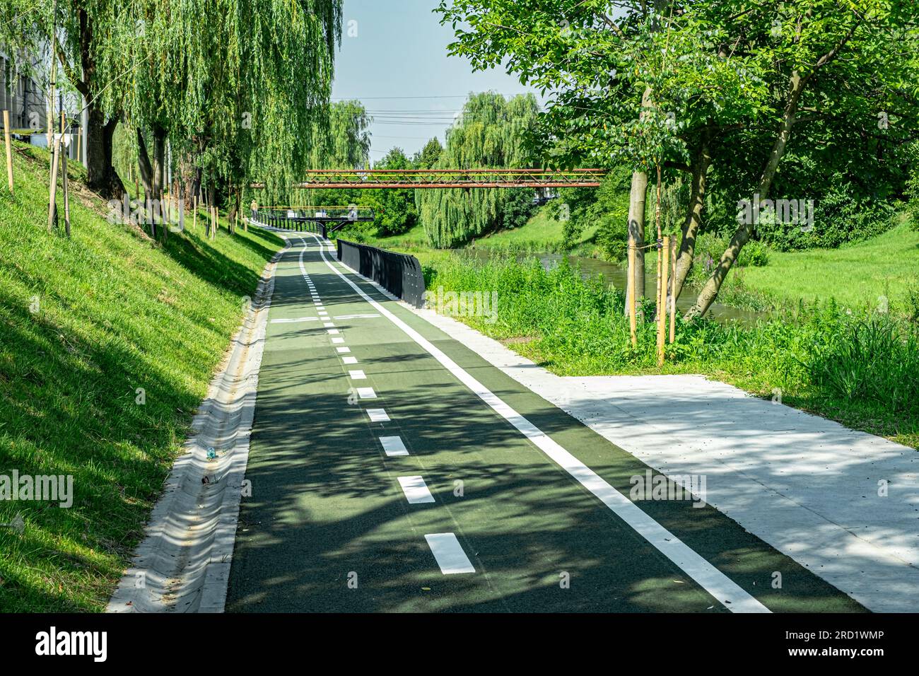 New cyclist paths built in the modern city for ecological bicycle ...
