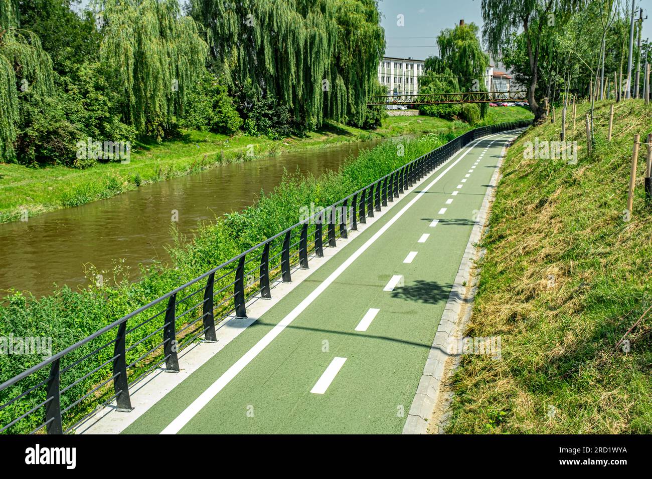New cyclist paths built in the modern city for ecological bicycle ...