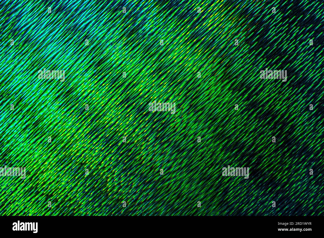 Abstract Geometric Lines with distorted green grid and green and blue ...