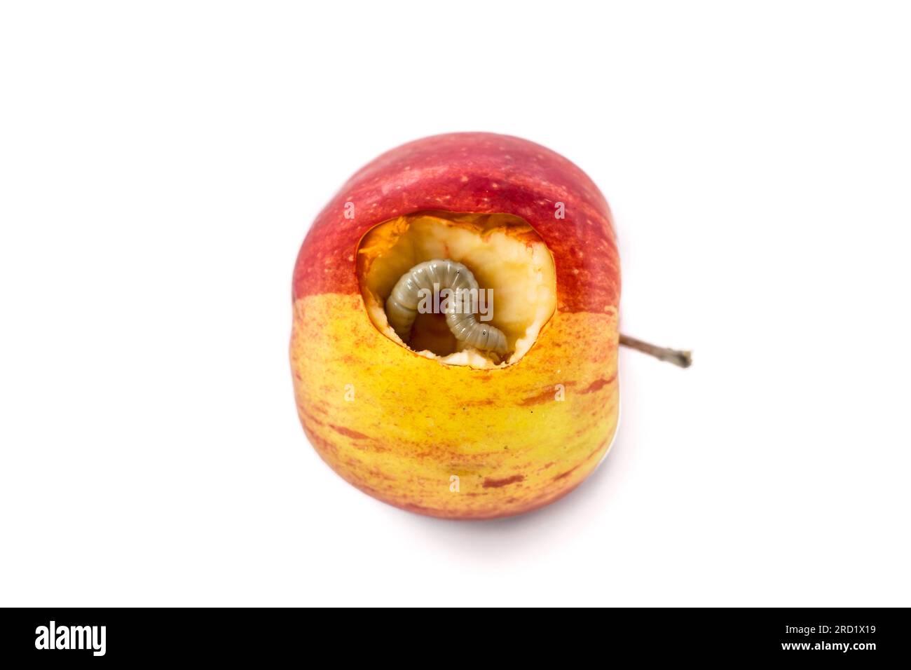 worm is eating apple isolated on white Stock Photo - Alamy