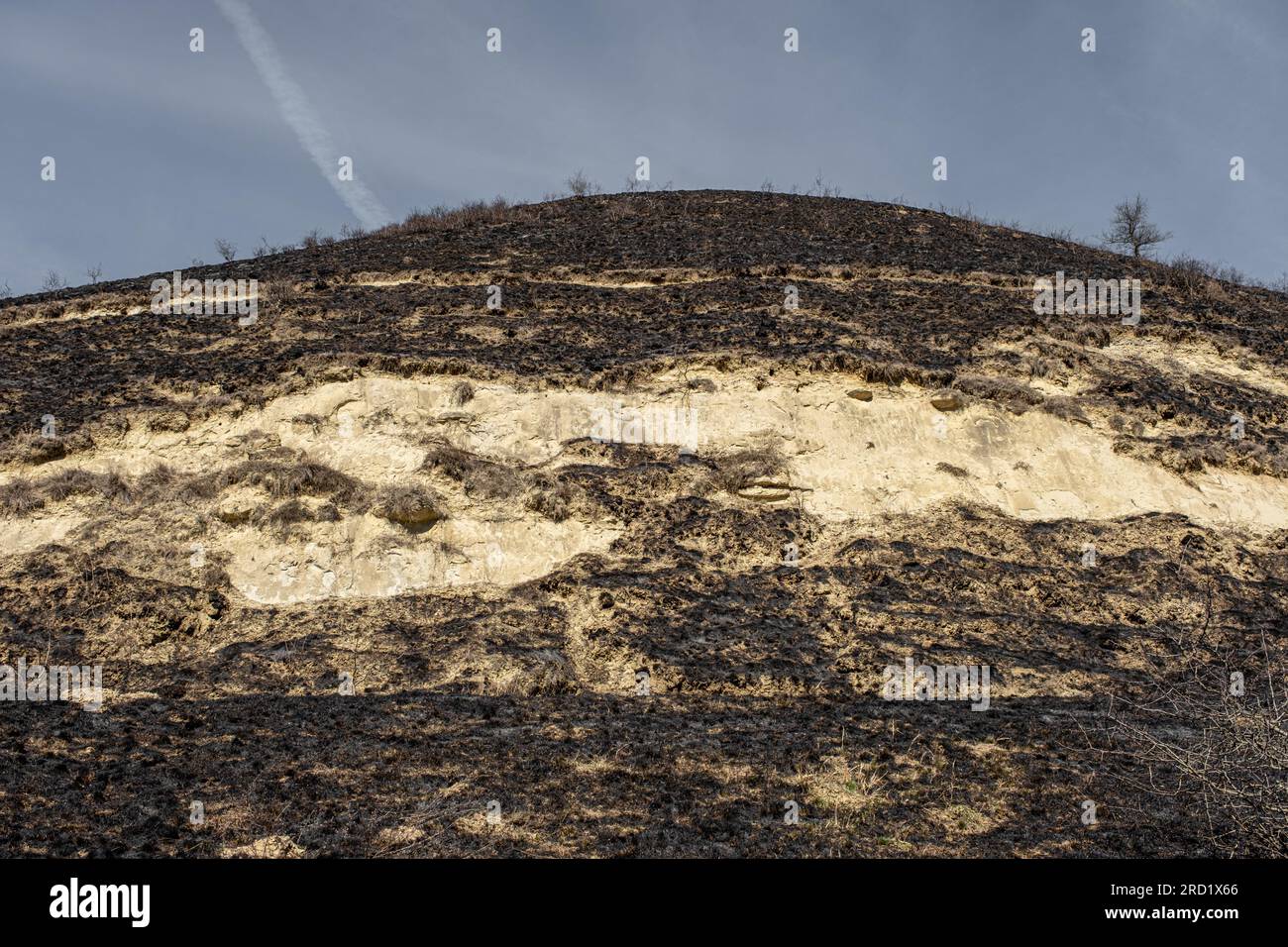 Burning tree smoke smoldering close hi-res stock photography and images ...