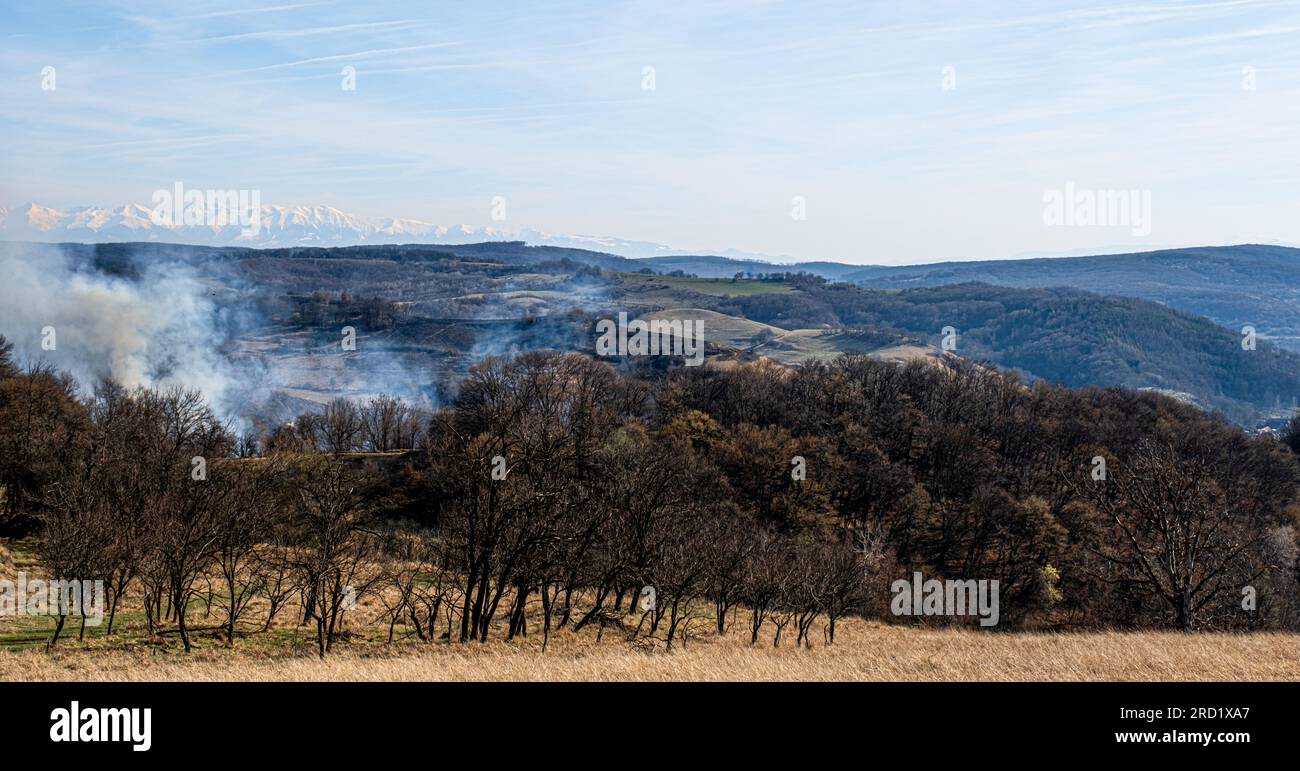 Burning dry vegetation on hills Stock Photo - Alamy