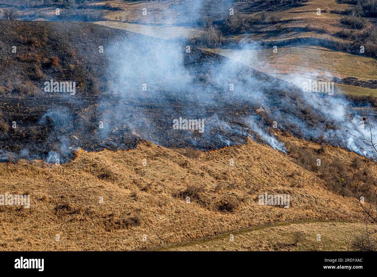 Burning dry vegetation on hills Stock Photo - Alamy