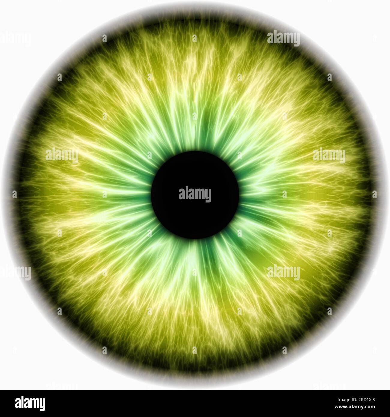 Illustration of a yellow human iris. Digital artwork creative graphic ...