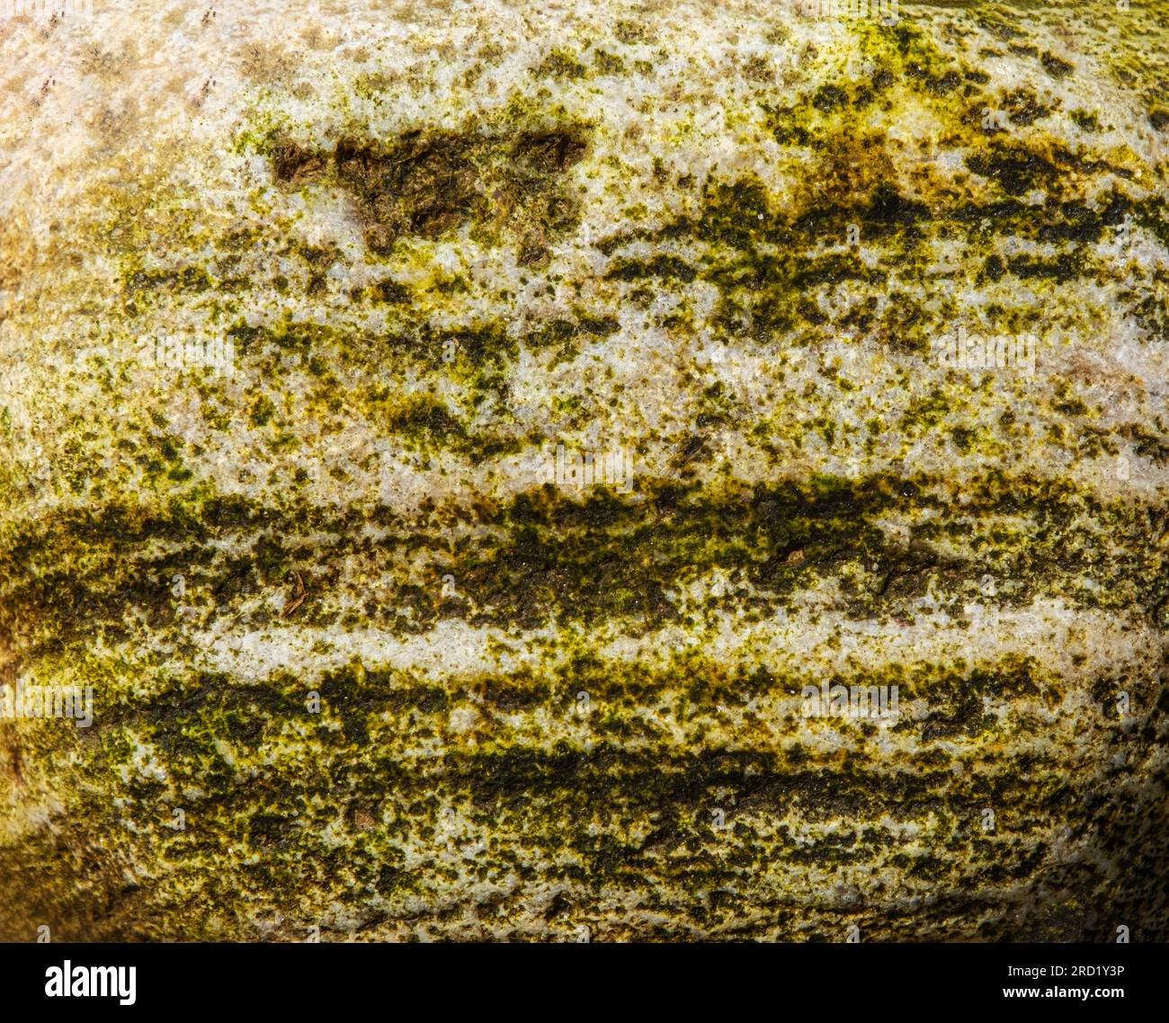 stone with layers and lichens Stock Photo - Alamy