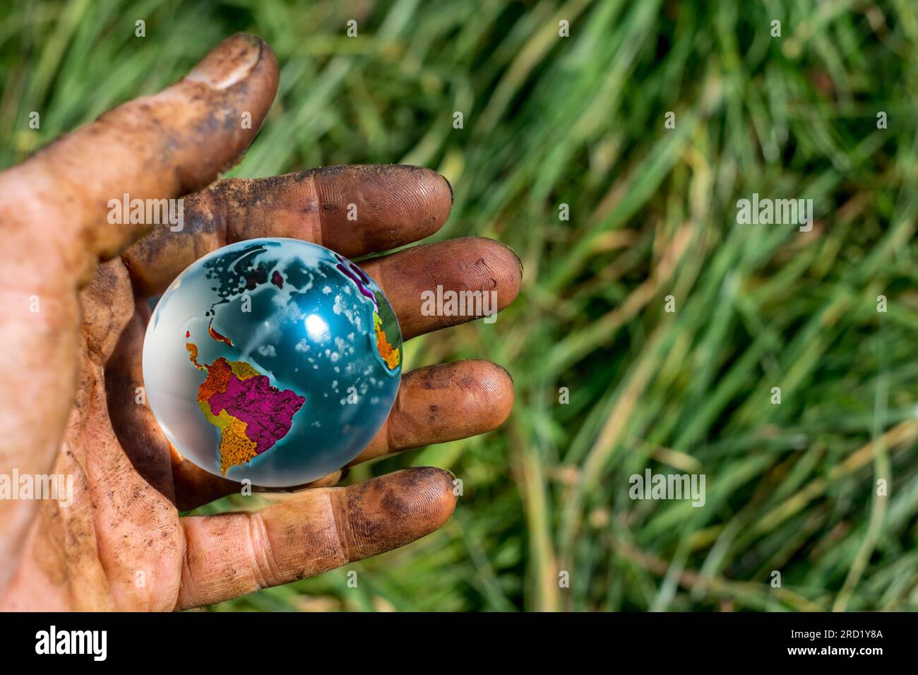 Worker's hands picking nuts, colored by the peel hold in a crystal ...