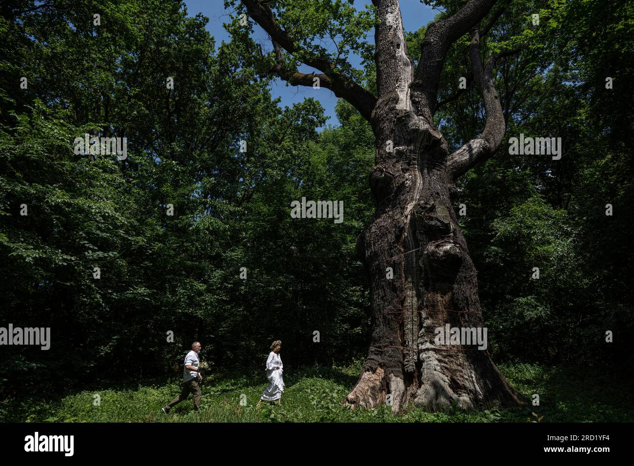 Ukrainian serviceman aka Zhuk and his wife Zoya walk in front of the ...