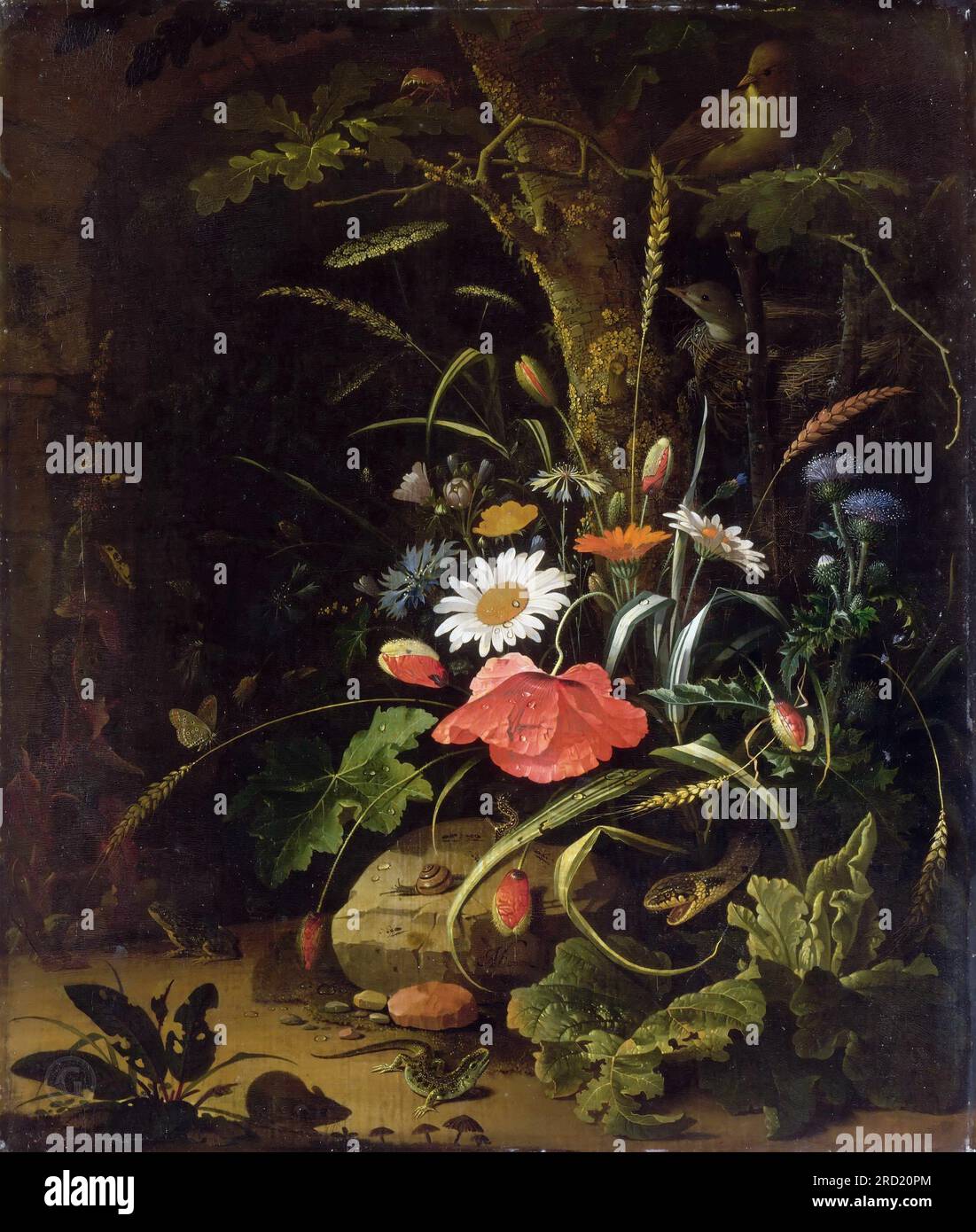 Abraham Mignon -- Flowers, birds, insects and reptiles 48х42 Stock ...