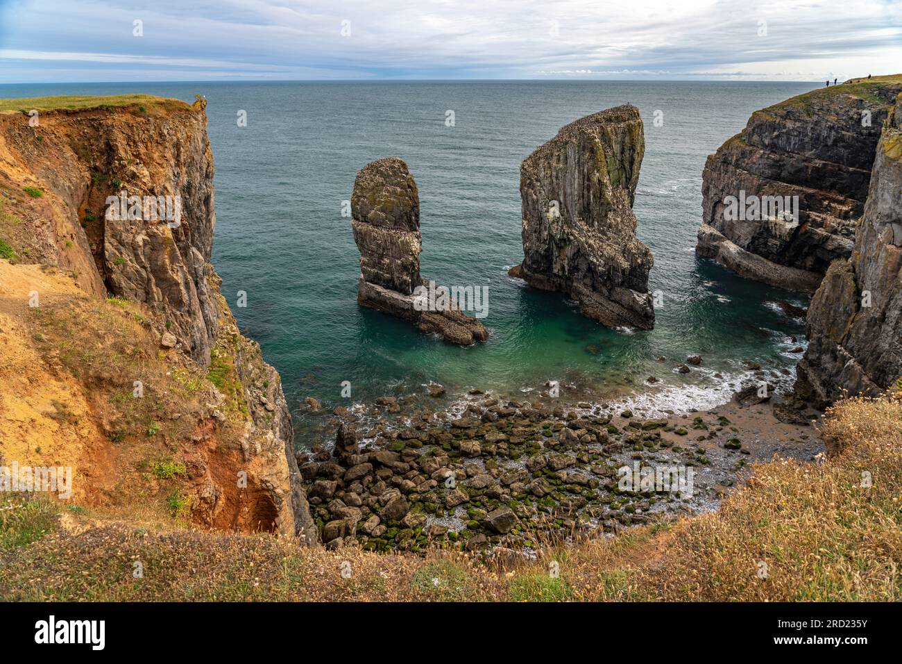 Felsformation Elegug Stacks oder Stack Rocks im Pembrokeshire Coast ...