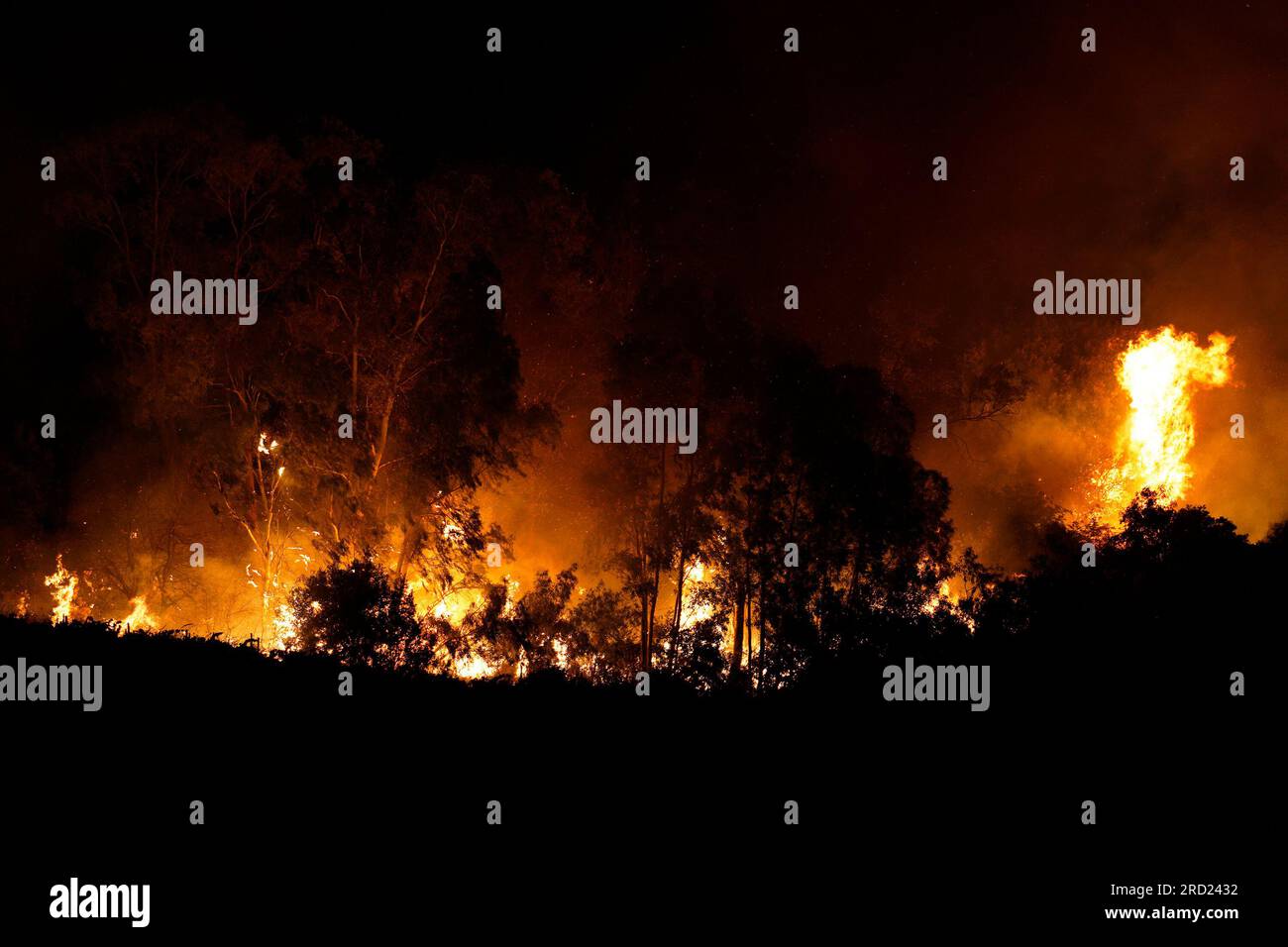 MONTE BONIFATO CONTINUES TO BURNING IN ALCAMO THE SCIROCCO WIND FEEDS ...