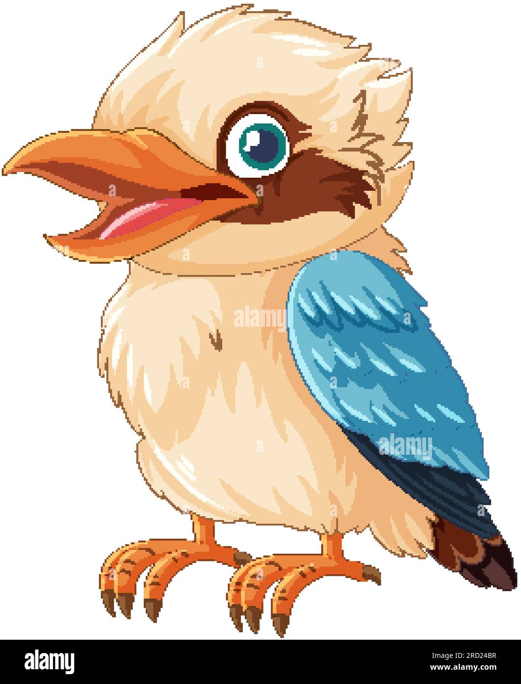 A smiling Kookaburra bird, native to Australia, is isolated on a white ...