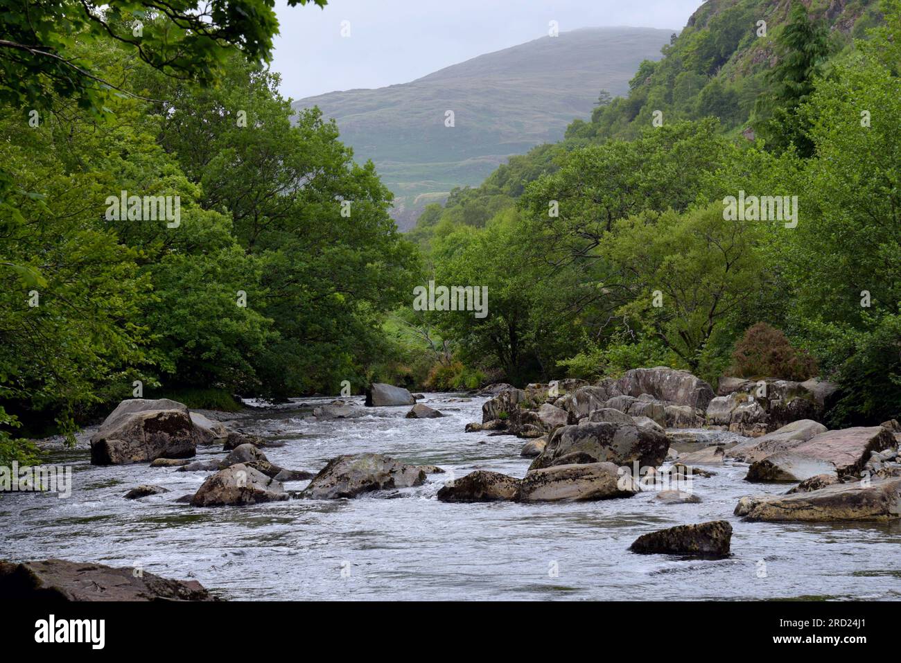 The River Glaslyn near Beddgelert, Snowdonia, a river popular with canoeists, adjacent to the ...