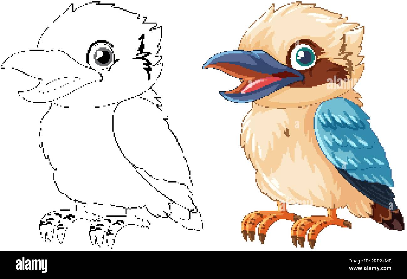 A smiling kookaburra native to Australia stands isolated on a white ...